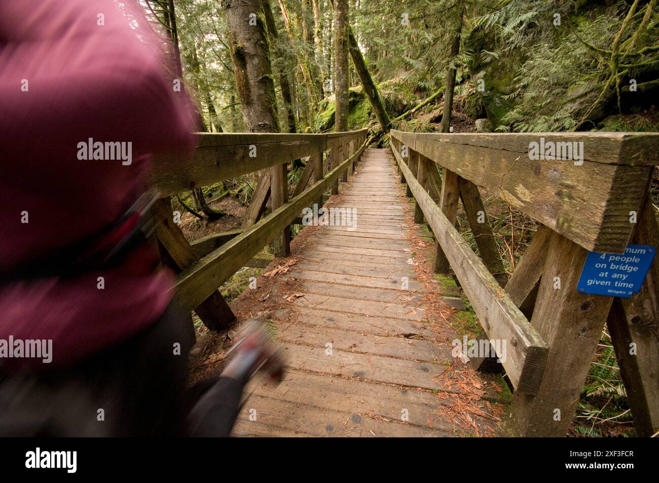 Buntzen lake east trail hi-res stock photography and images - Alamy