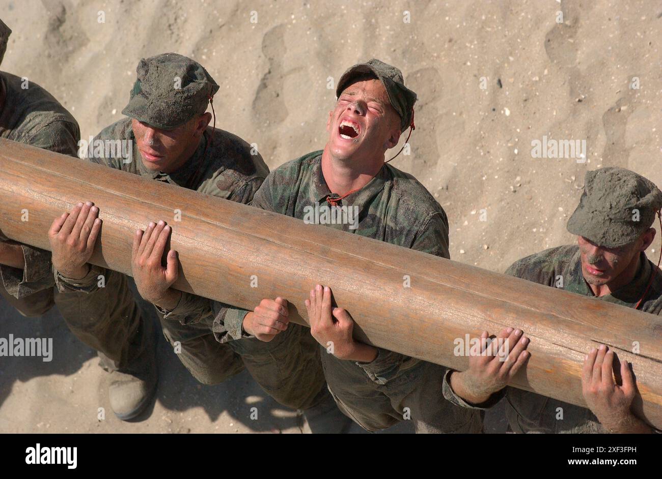 Military members lift logs for PT Stock Photo - Alamy