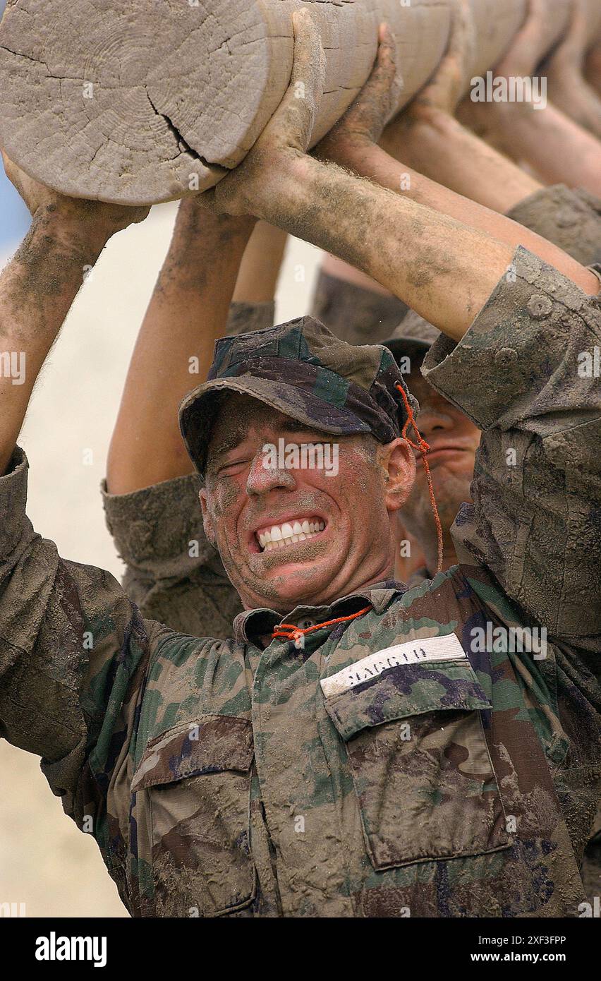 Military members lift logs for PT Stock Photo - Alamy