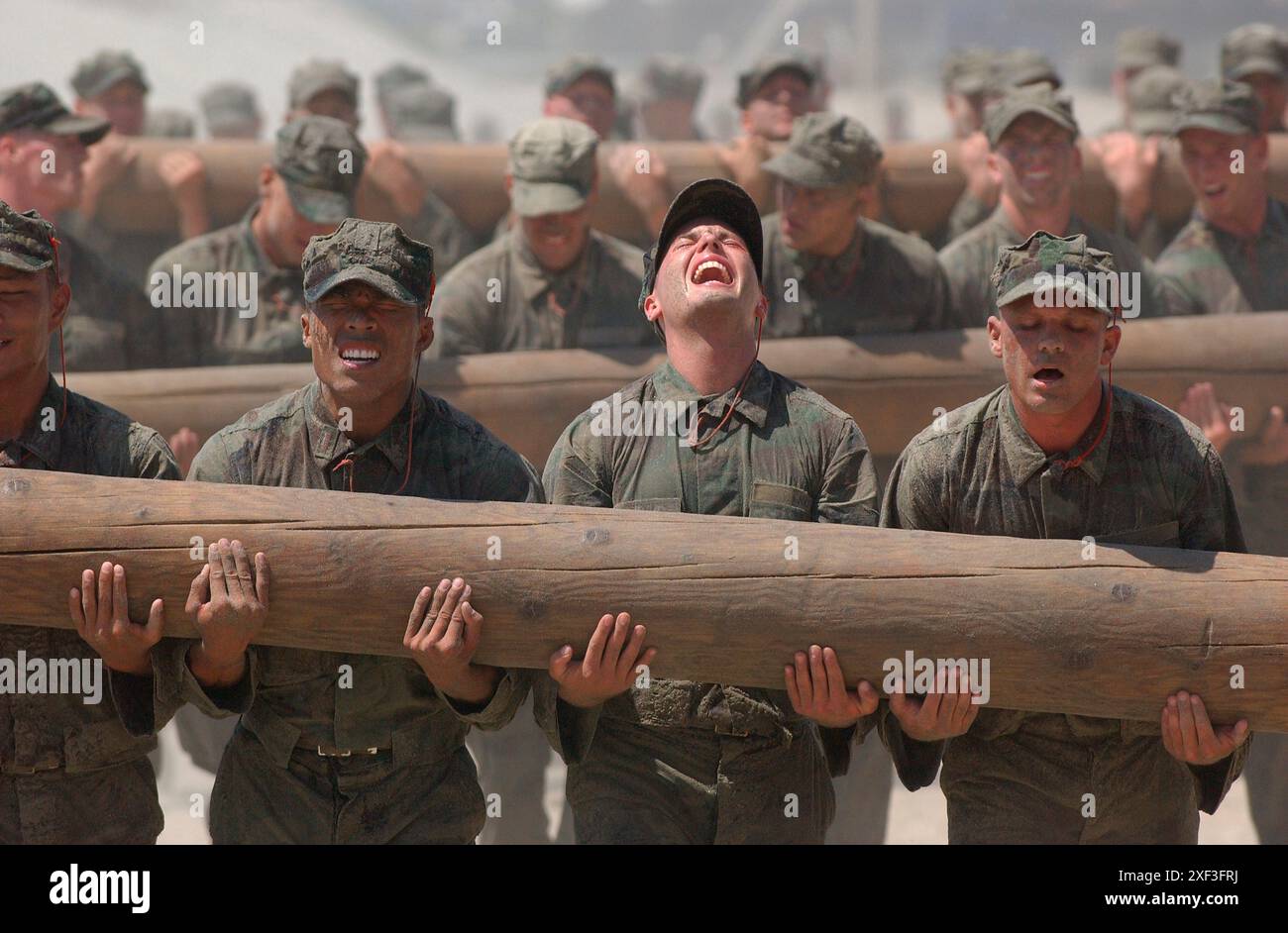 Military members lift logs for Physical Training in California Stock ...