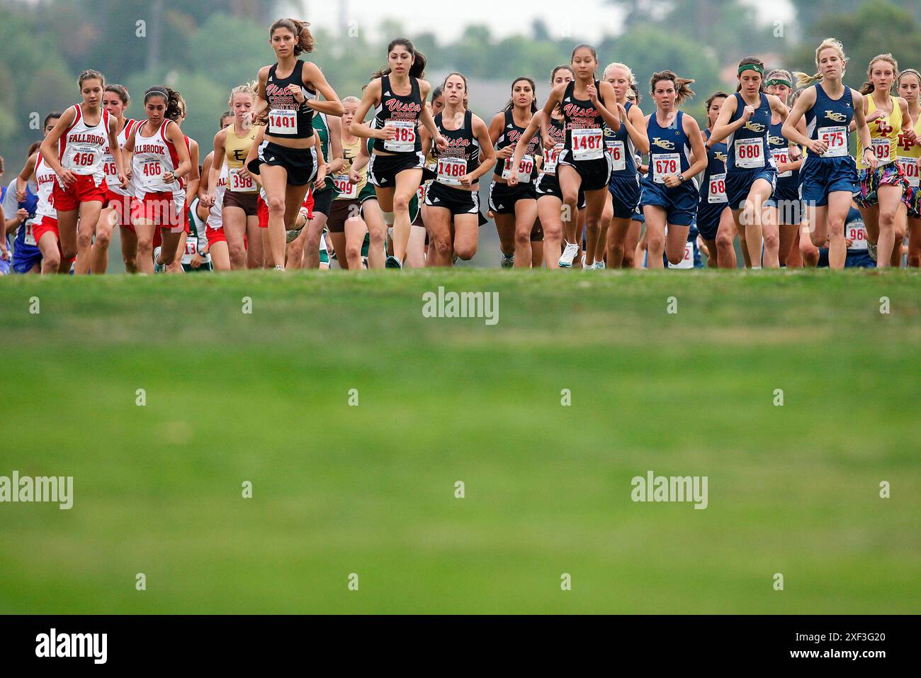 Many girls run in a cross country race Stock Photo - Alamy