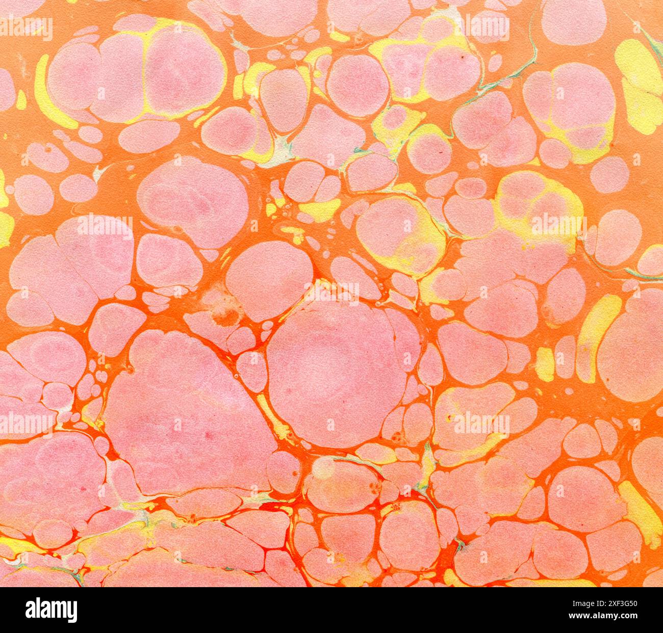 Ebru art. Traditional Turkish Ebru technique. Painting on water ...