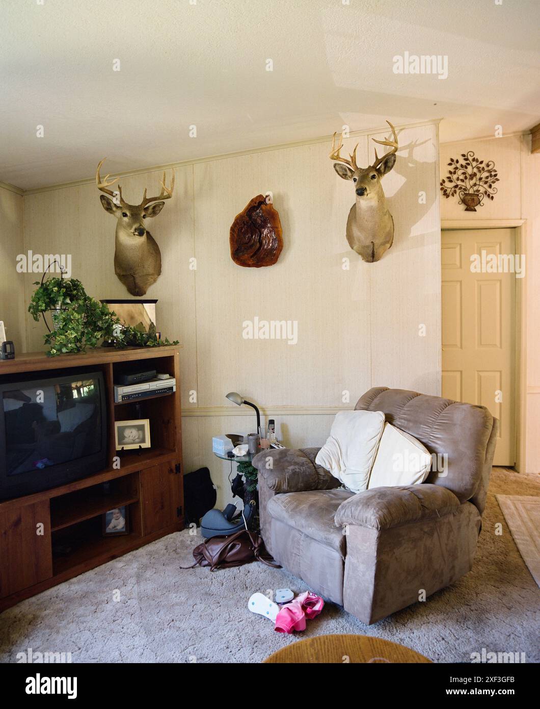 Trophy room hunting hi-res stock photography and images - Alamy