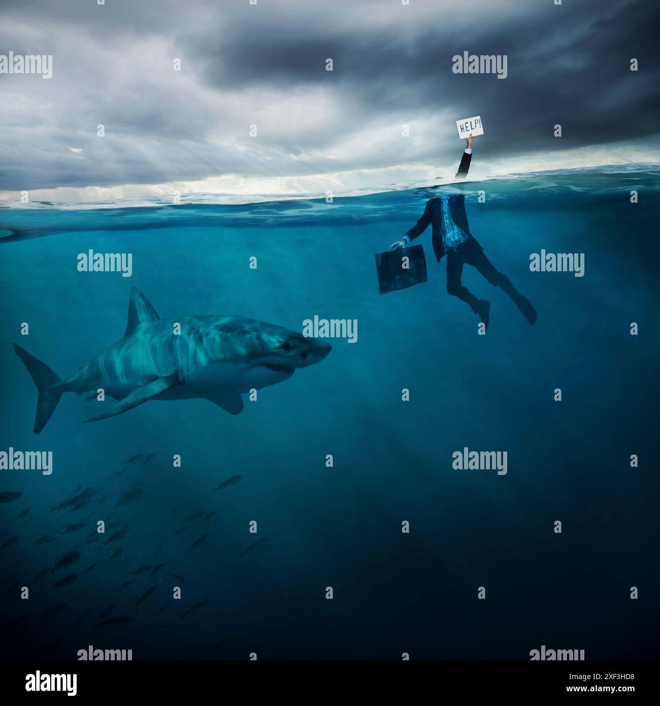 Man drowning in sea with a shark swimming near Stock Photo - Alamy