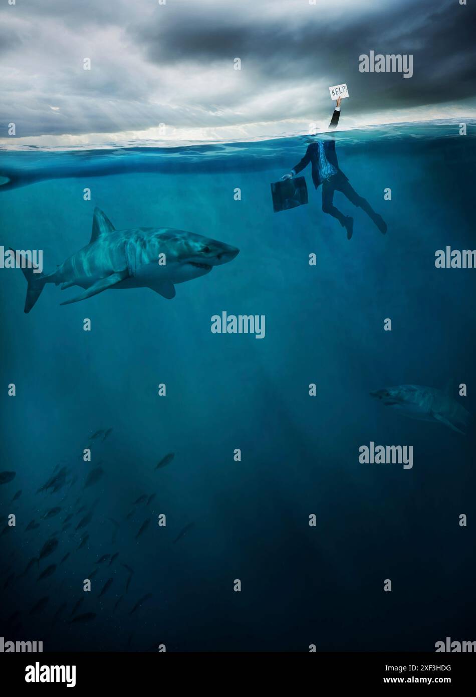 Man drowning in sea with a shark swimming near Stock Photo - Alamy