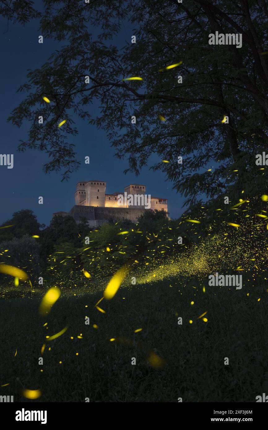 The Great Dance (of fireflies) at court Stock Photo - Alamy