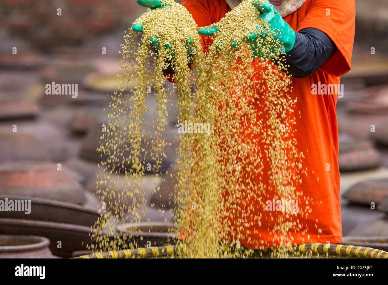 Vietnamese woman sifting soya beans at Ban Village soy sauce factory ...
