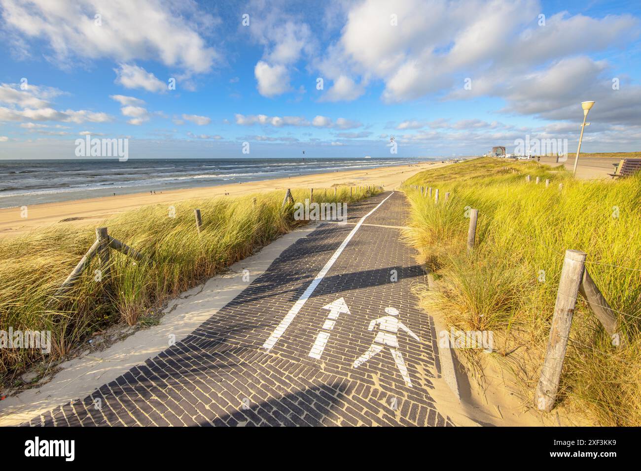 Paved Trail through dune landscape entrance to the beach of North Sea ...