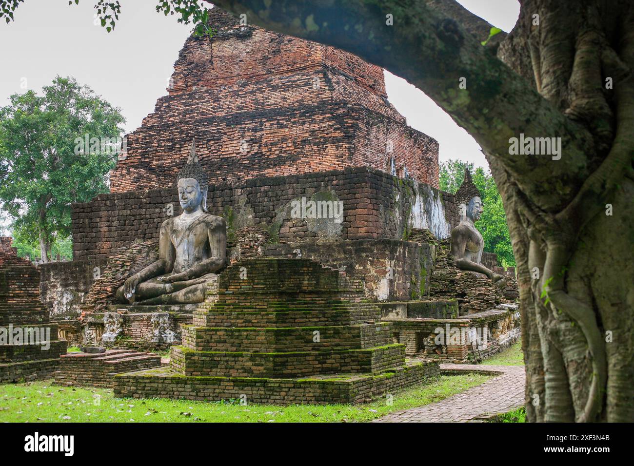 Thailand - Buddha statues at a Unesco World Heritage site in Sukhotai ...