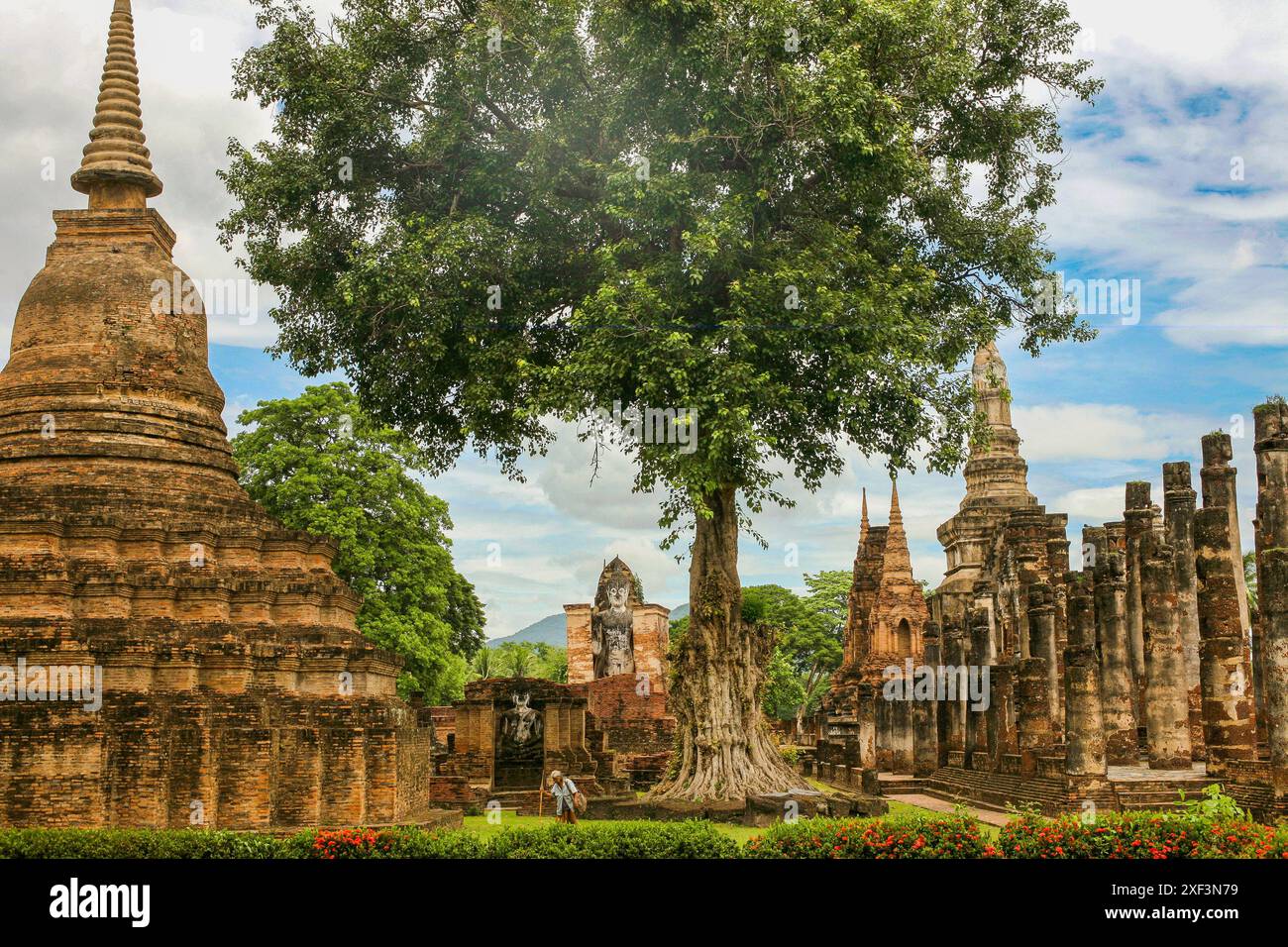 Thailand - Buddha statues at a Unesco World Heritage site in Sukhotai ...