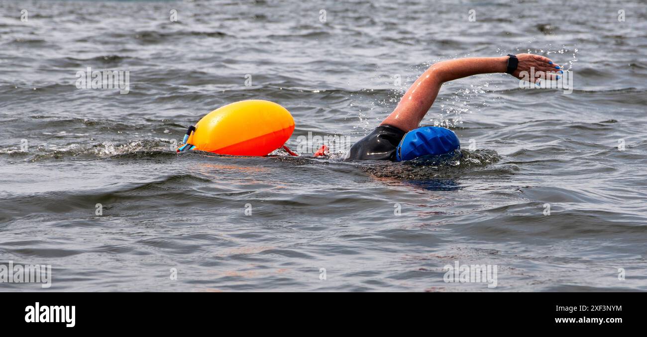 Close up of A lone female swimmer with a bright orange buoy attached to ...