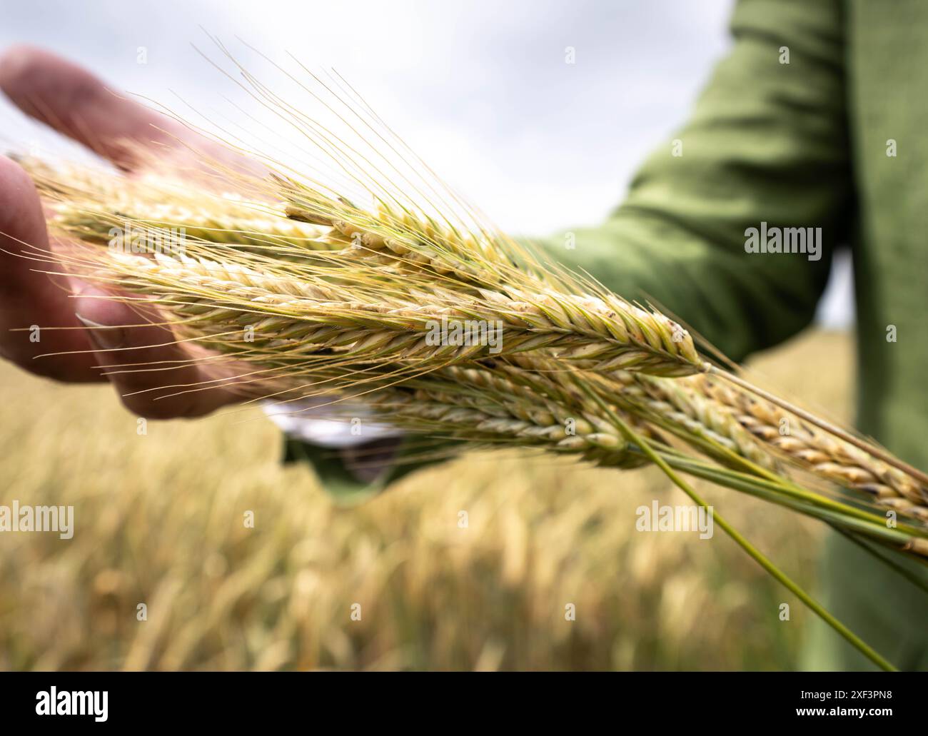 Matthias mehl hi-res stock photography and images - Alamy