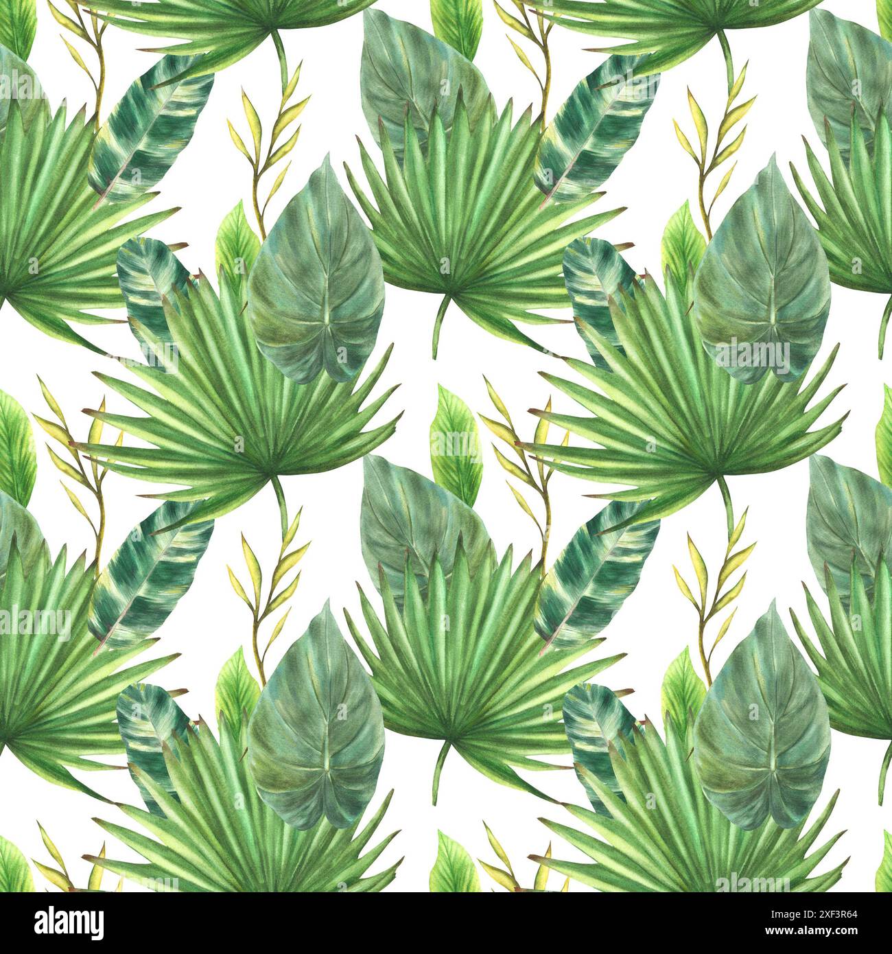 Tropical leaves seamless pattern. Watercolor jungle plants repeating ...