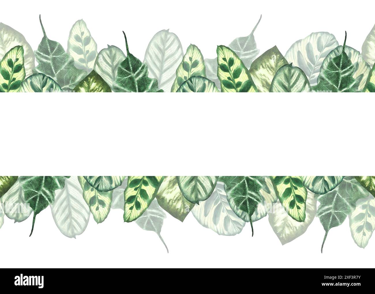 Tropical green leaves seamless banner Jungle plants. Summer realistic ...
