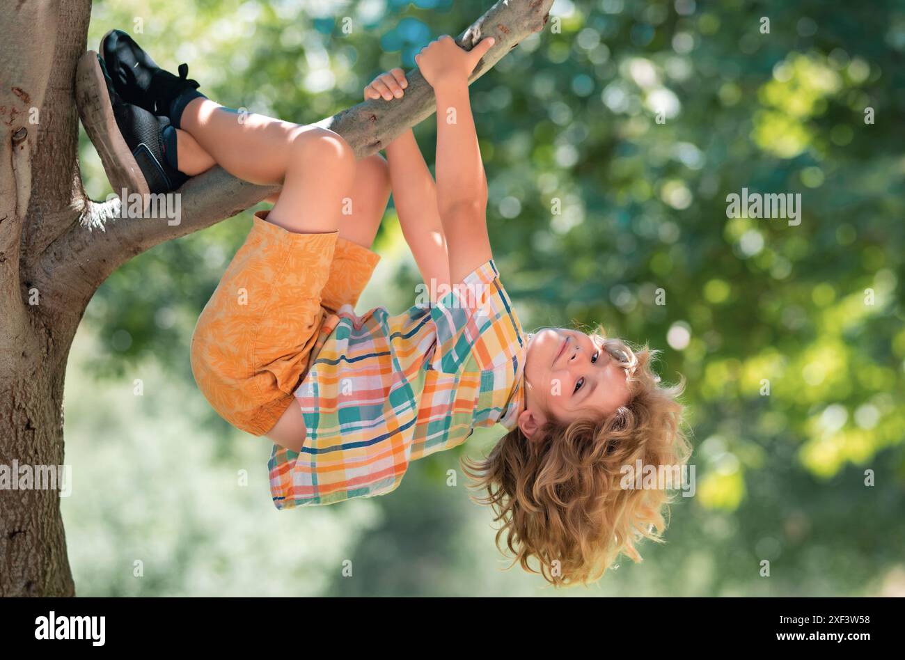 Child hugging a tree branch. Little boy kid on a tree branch. Kid ...