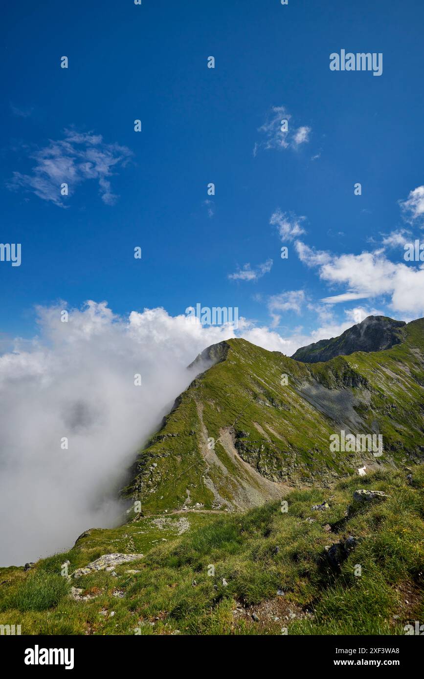 Landscape with the Fagarasi mountains in Romania on a summer day Stock ...