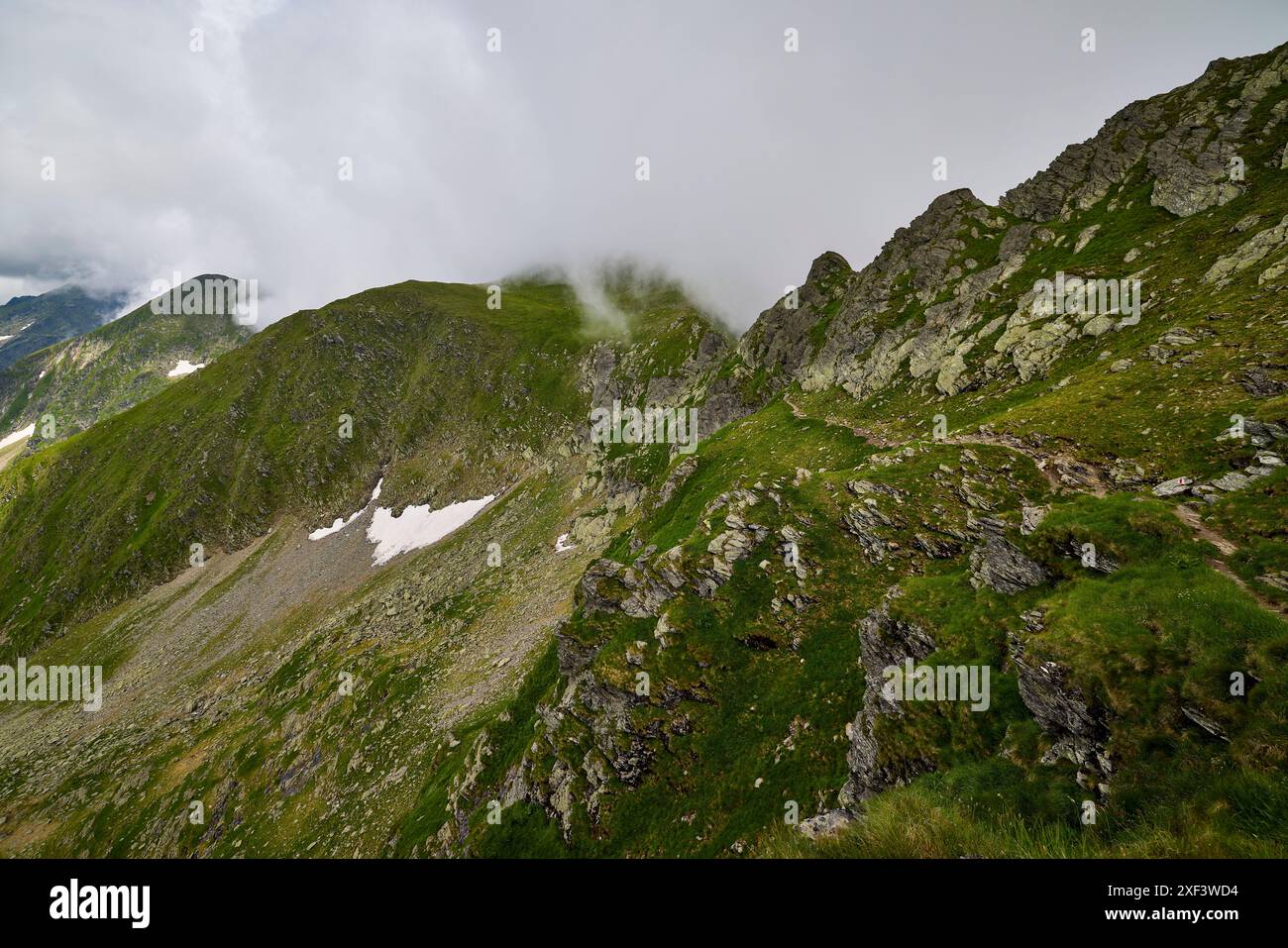 Landscape with the Fagarasi mountains in Romania on a summer day Stock ...