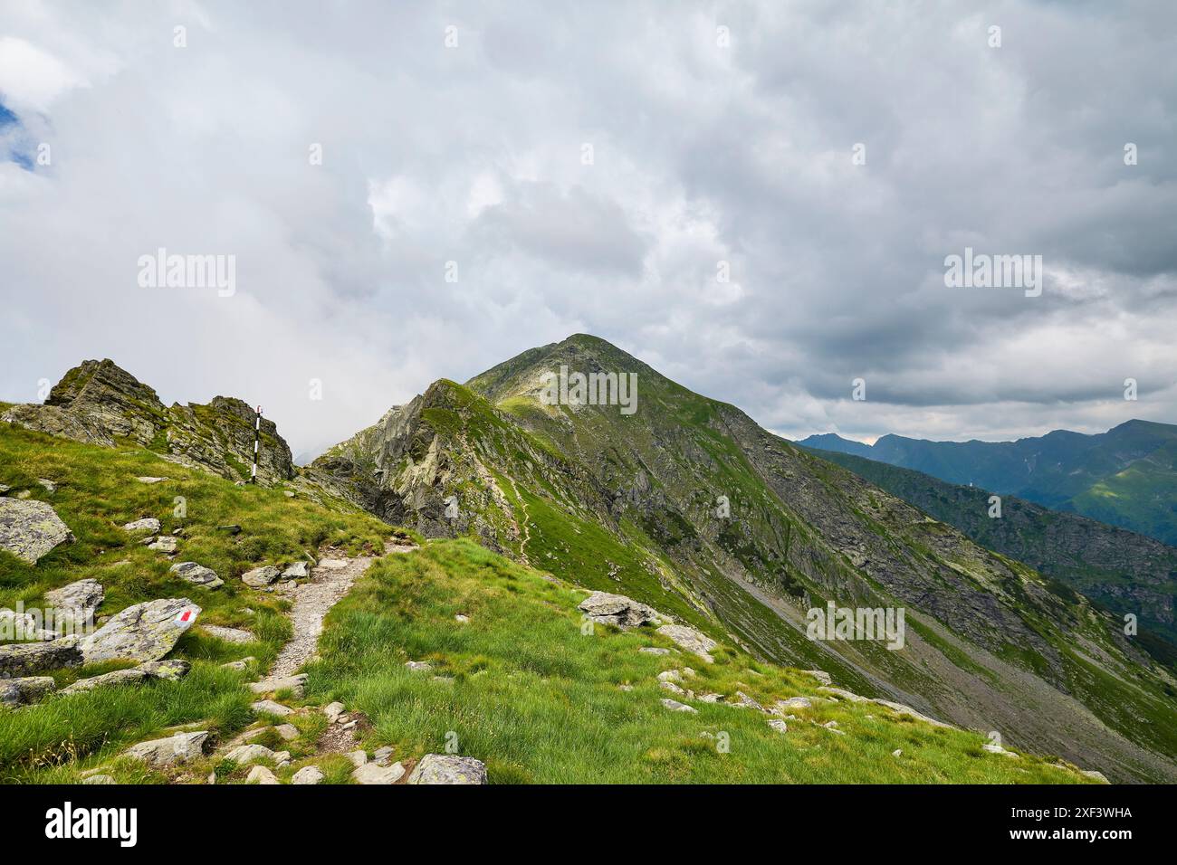 Landscape with the Fagarasi mountains in Romania on a summer day Stock ...