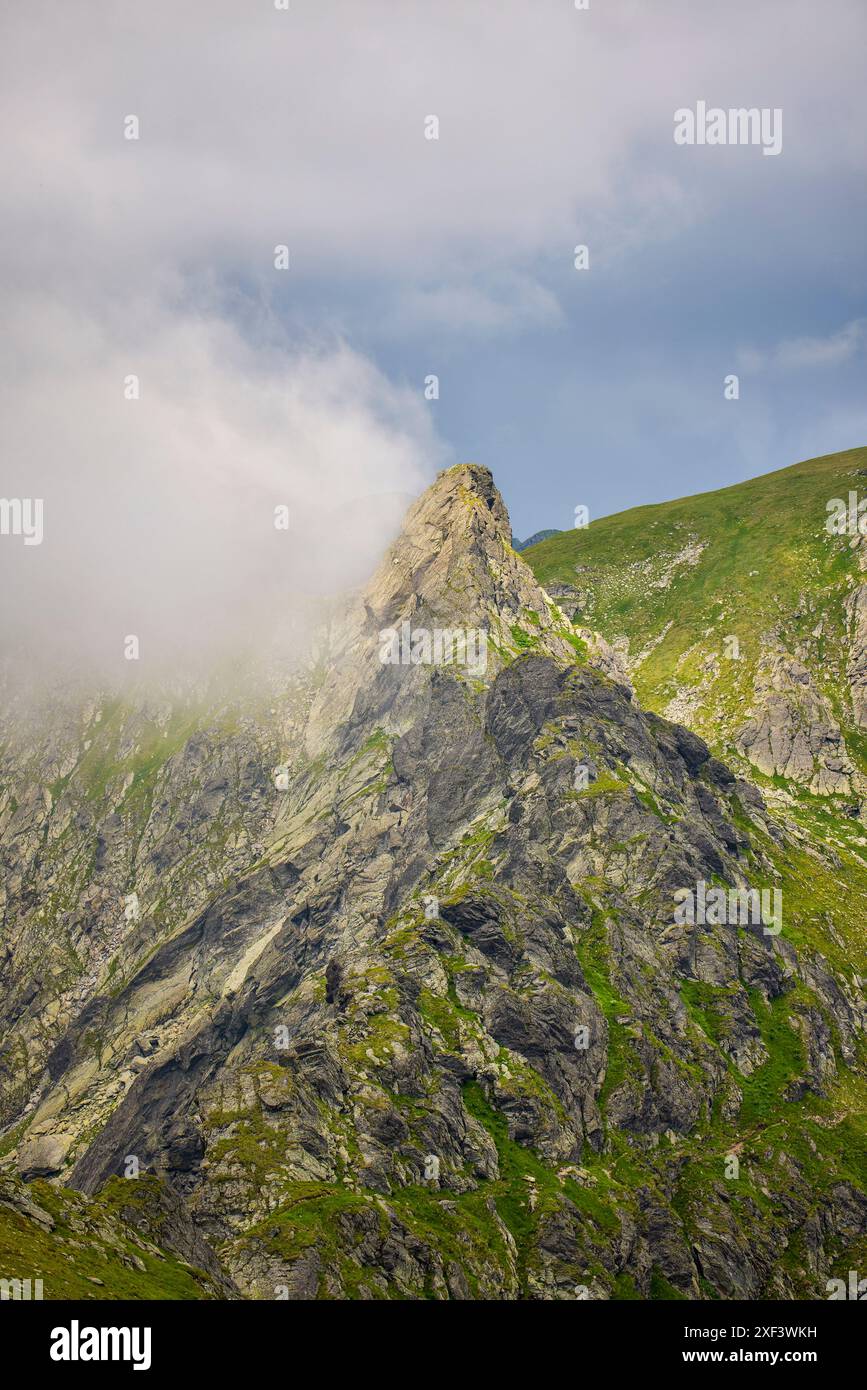 Landscape with the Fagarasi mountains in Romania on a summer day Stock ...