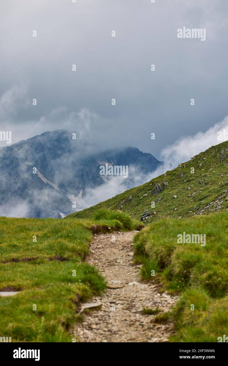 Landscape with the Fagarasi mountains in Romania on a summer day Stock ...