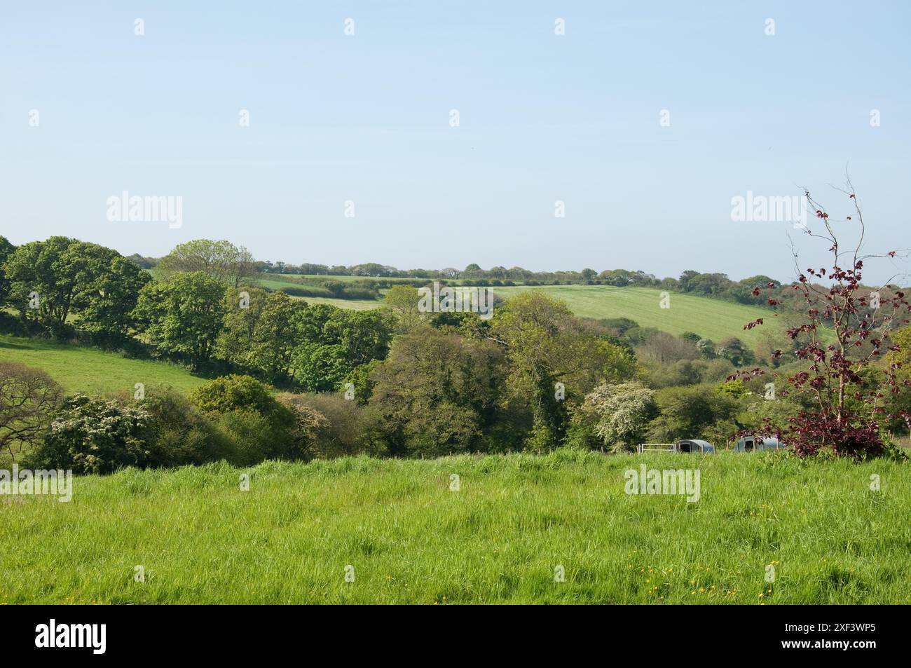 Cornwall panorama fields hi-res stock photography and images - Alamy