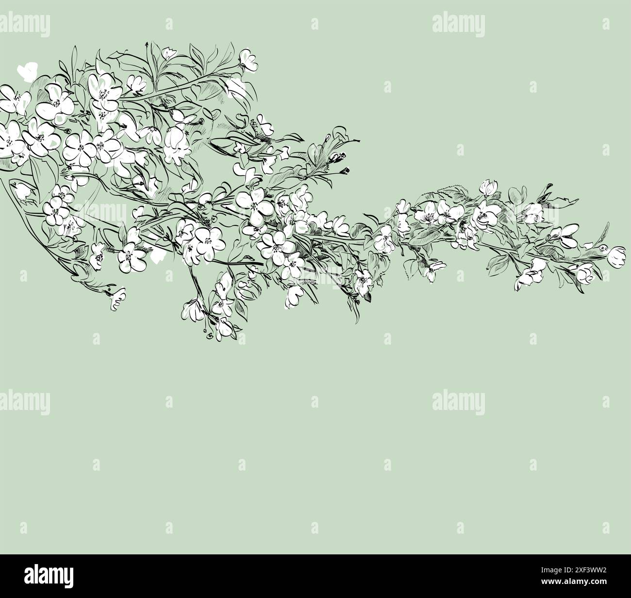 Vector hand drawn cherry blossom. Summer illustration Stock Vector ...