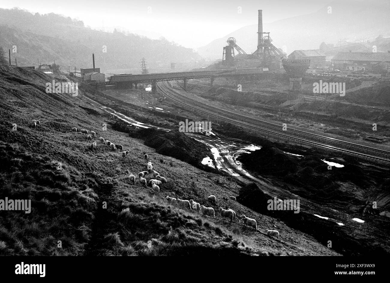 Lewis Merthyr Colliery in the Rhondda Valley South Wales 1980 Scanned ...