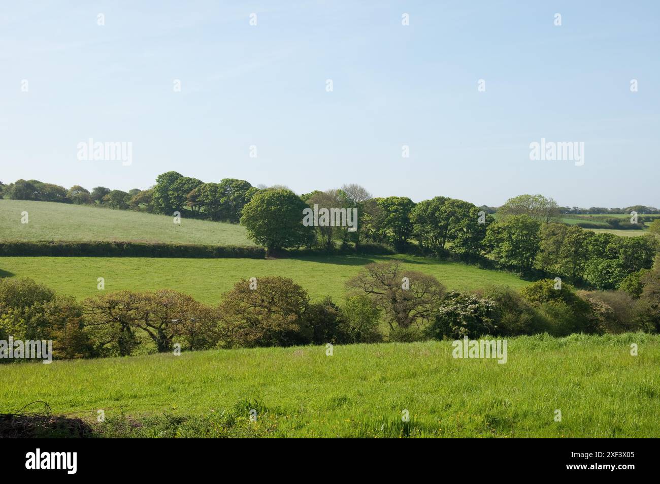 Cornwall panorama fields hi-res stock photography and images - Alamy