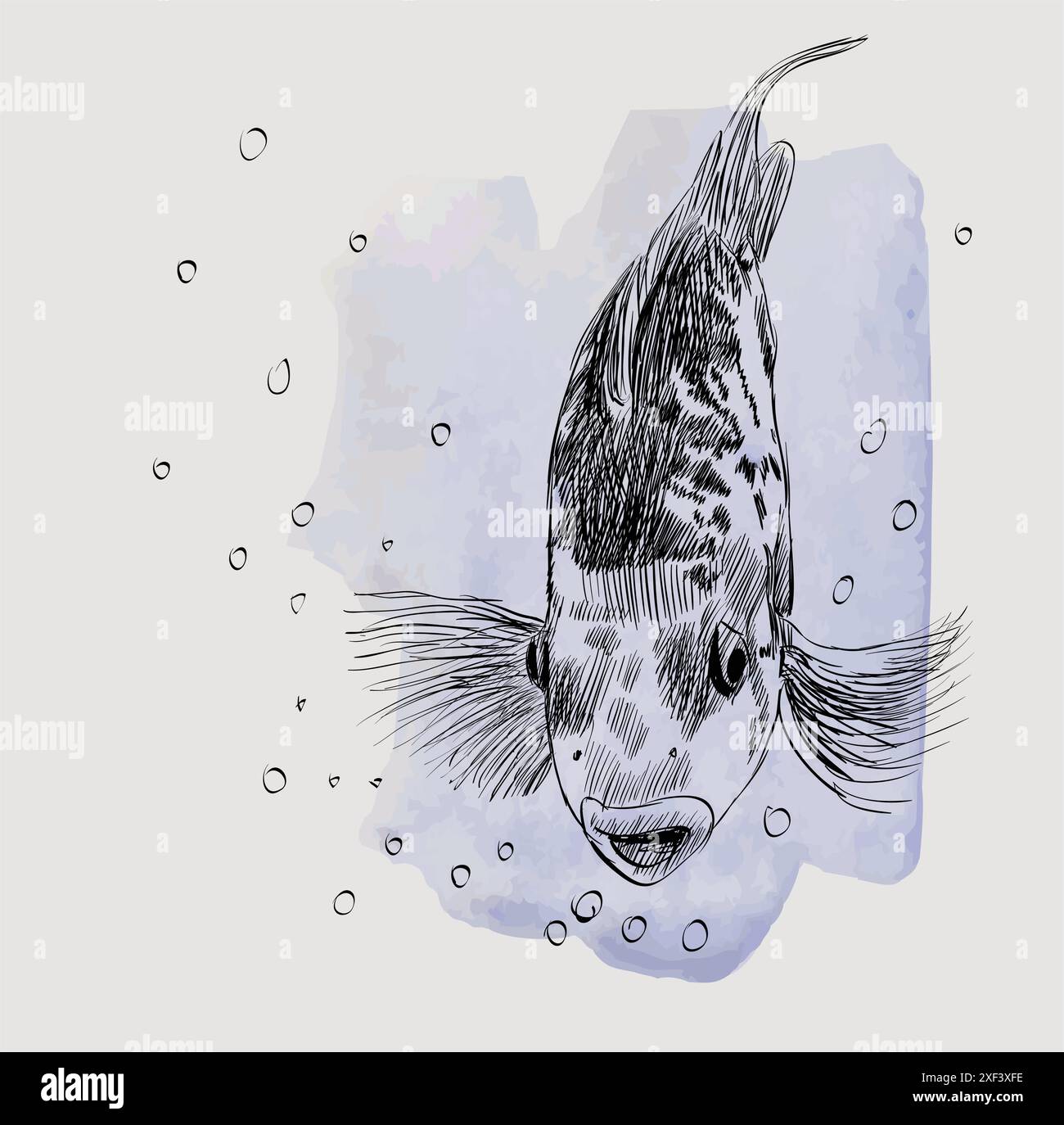 Vector illustration with hand drawn realistic fish Stock Vector Image ...