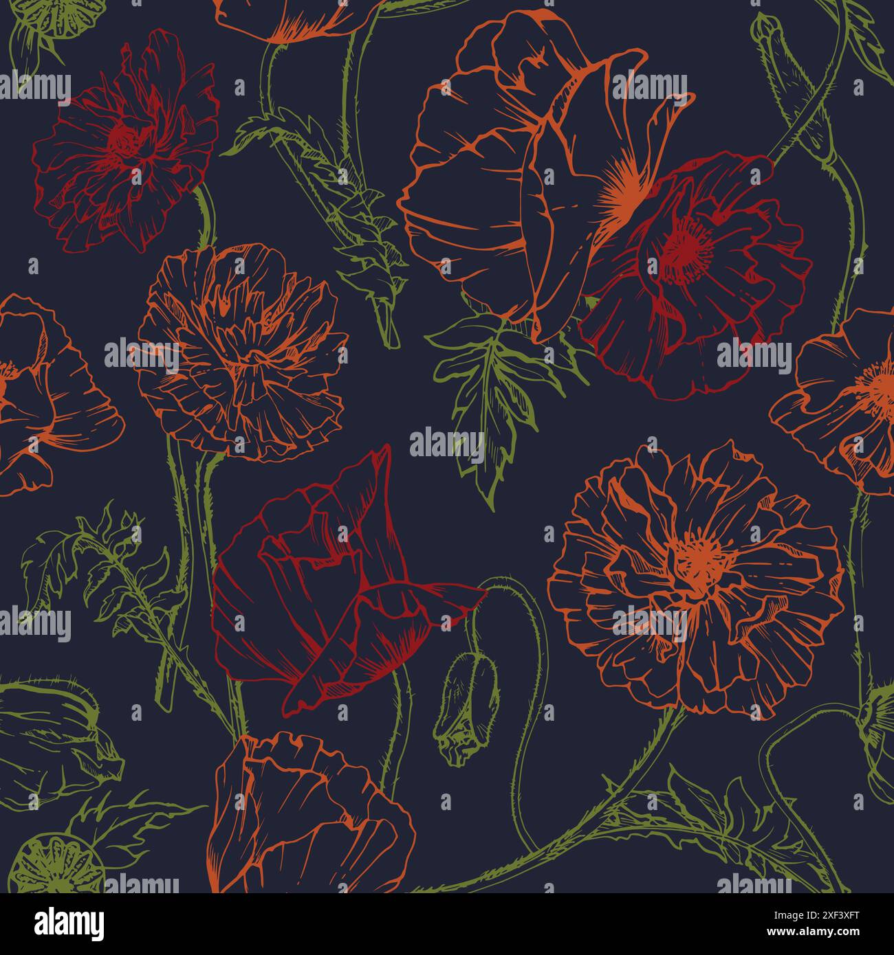 Hand drawn vector graphic botanical illustration flowers leaves. Red poppy papaver, stems buds ...