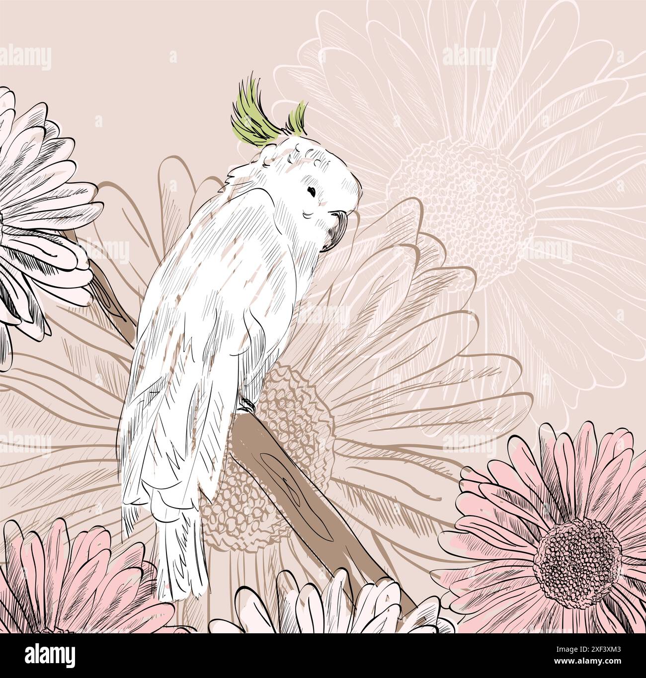 Vector sketch of a parrot with flowers. Hand drawn illustration Stock ...