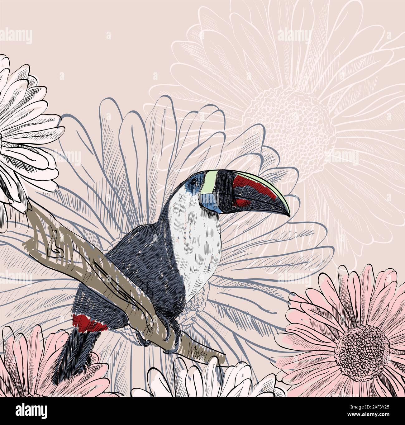 Vector sketch of a parrot. Hand drawn illustration Stock Vector Image ...