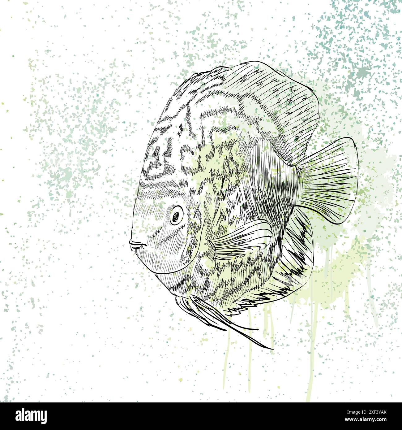 Vector illustration with hand drawn realistic fish Stock Vector Image ...