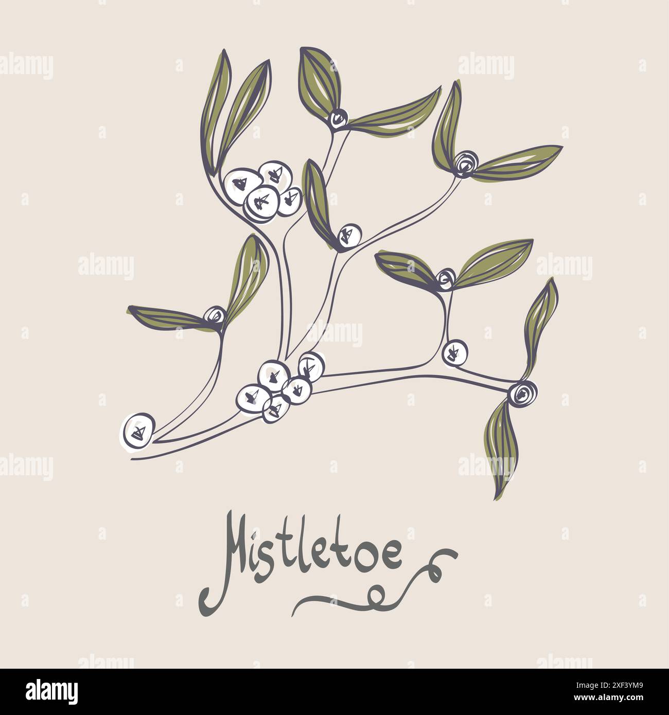 Mistletoe vector hi-res stock photography and images - Alamy