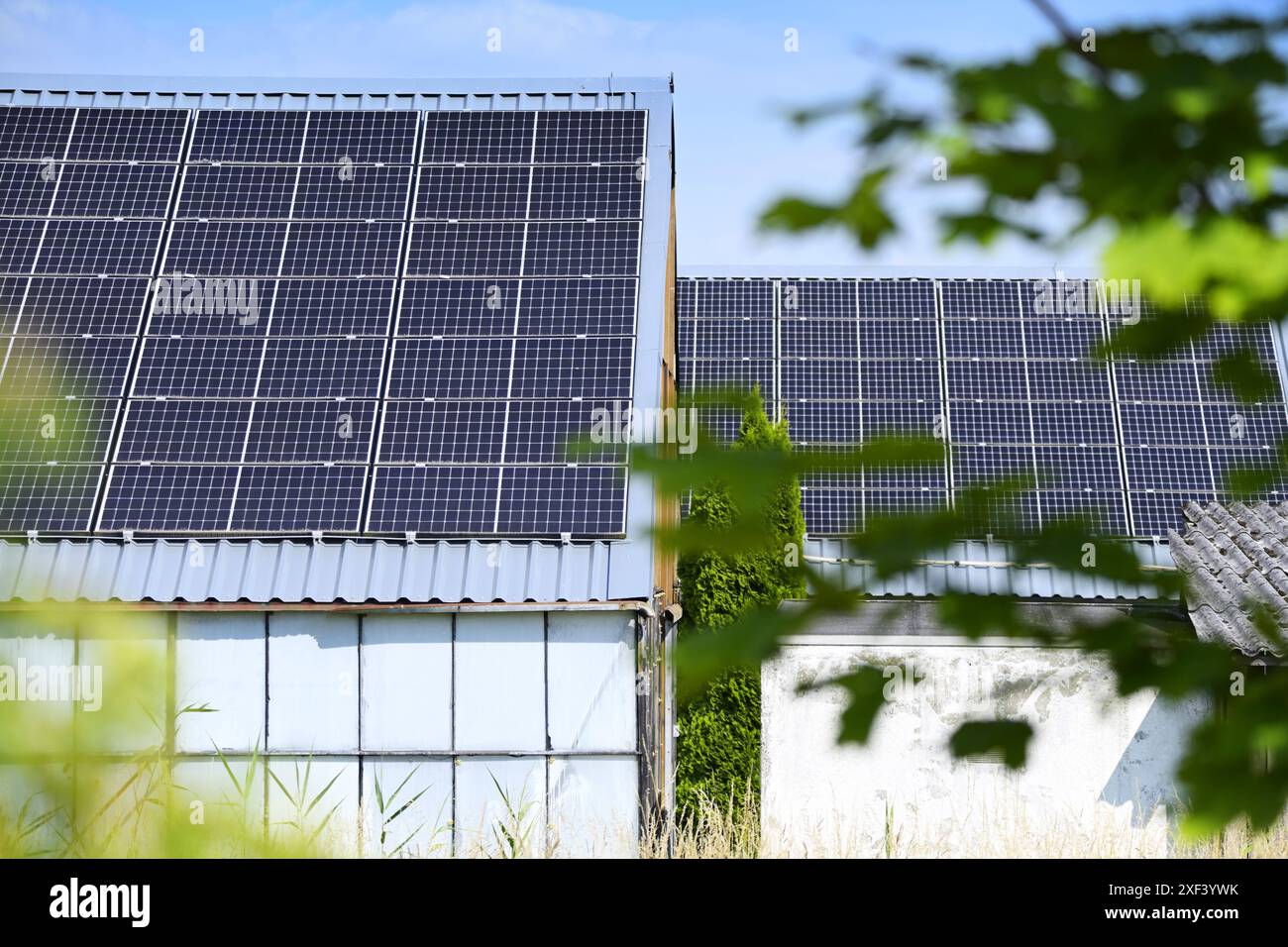 Solaranlage auf dem Dach eines Treibhauses in Hamburg, Deutschland *** Solar system on the roof ...