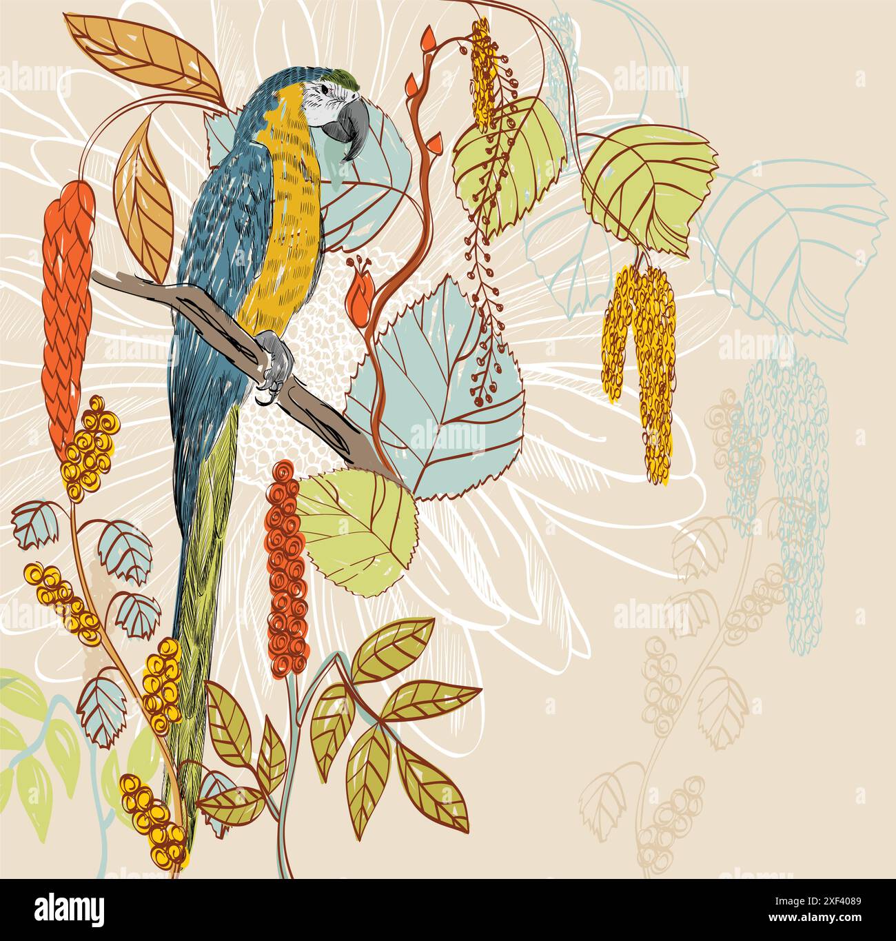 Vector sketch of a parrot. Hand drawn illustration Stock Vector Image ...
