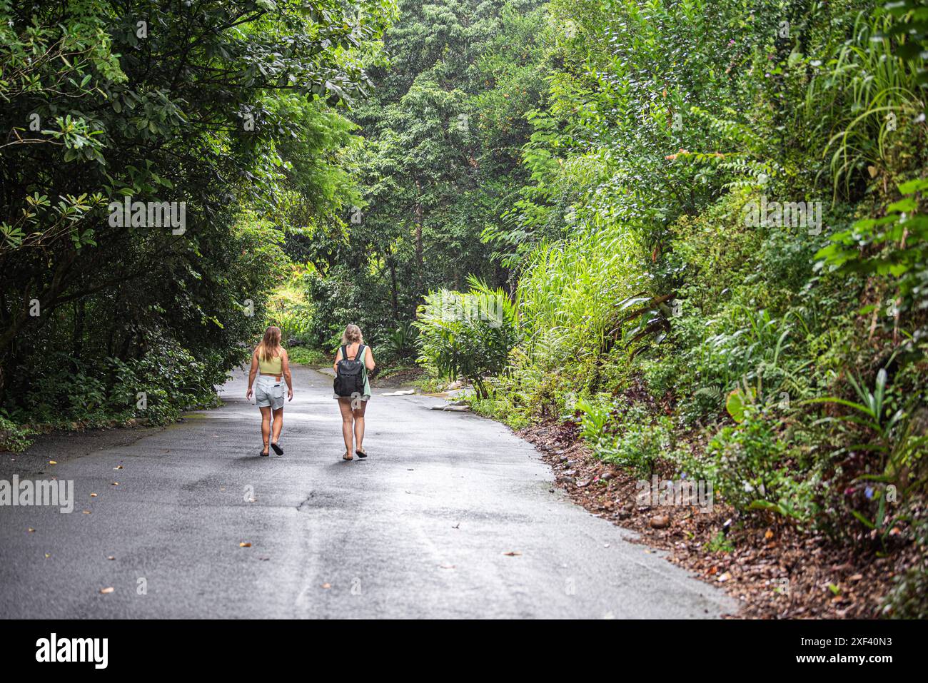 A mother and her daughter stroll leisurely through Waimea Valley in ...