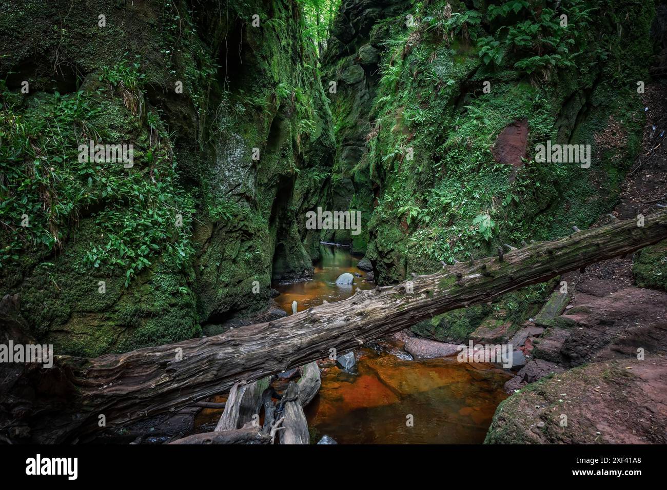 The Devils Pulpit a beautiful gorge in the Scottish landscape close to ...