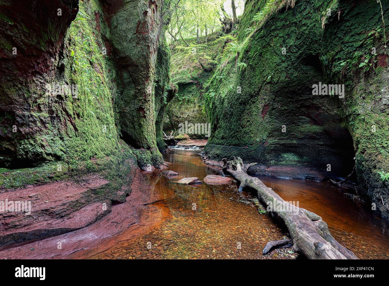 The Devils Pulpit a beautiful gorge in the Scottish landscape close to ...