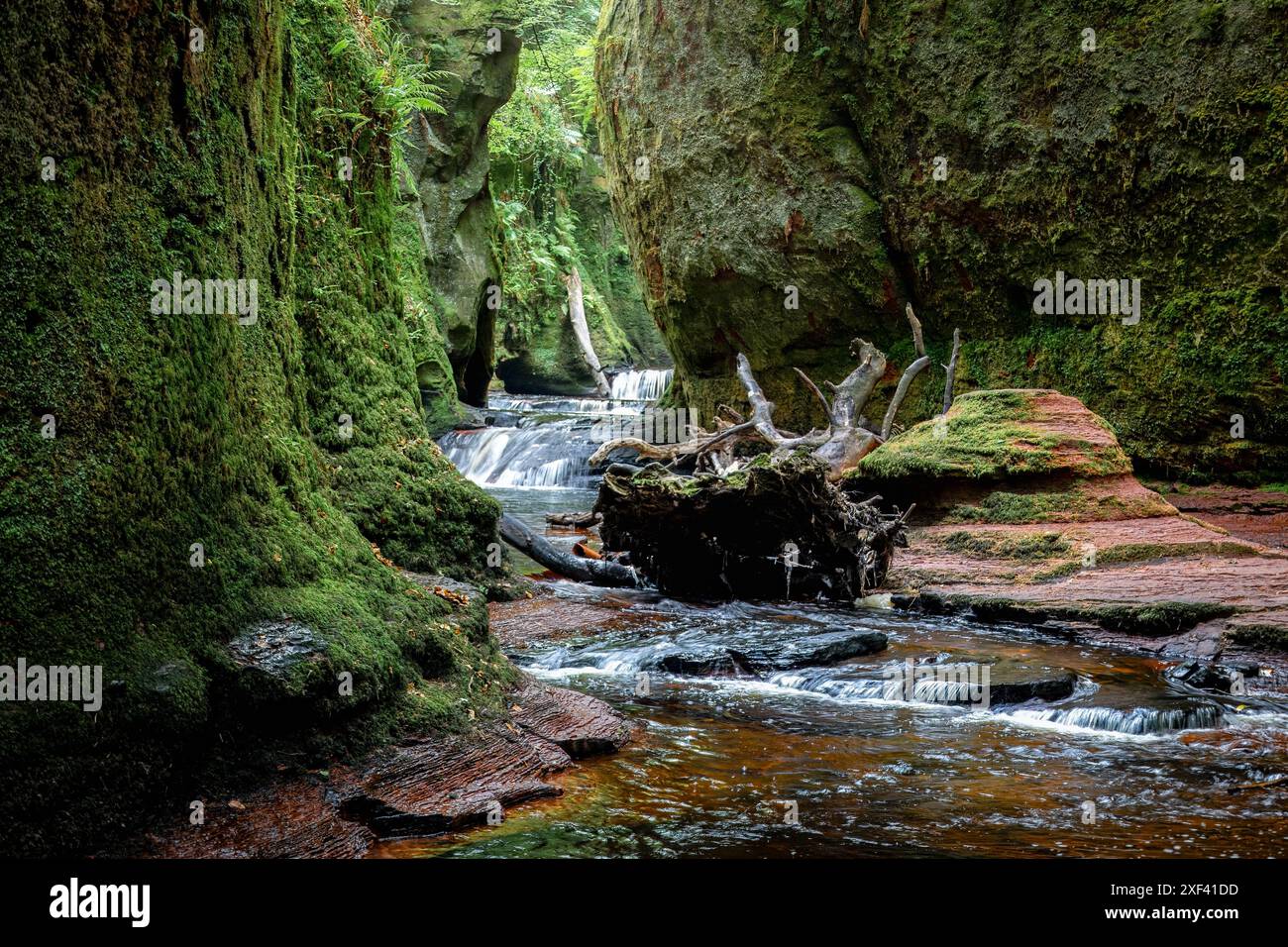 The Devils Pulpit a beautiful gorge in the Scottish landscape close to ...