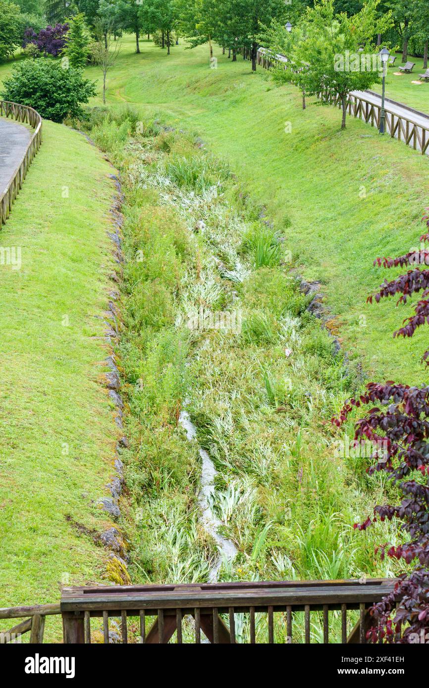 Abandoned agricultural ditch overgrown grass with flowing rainwater and ...