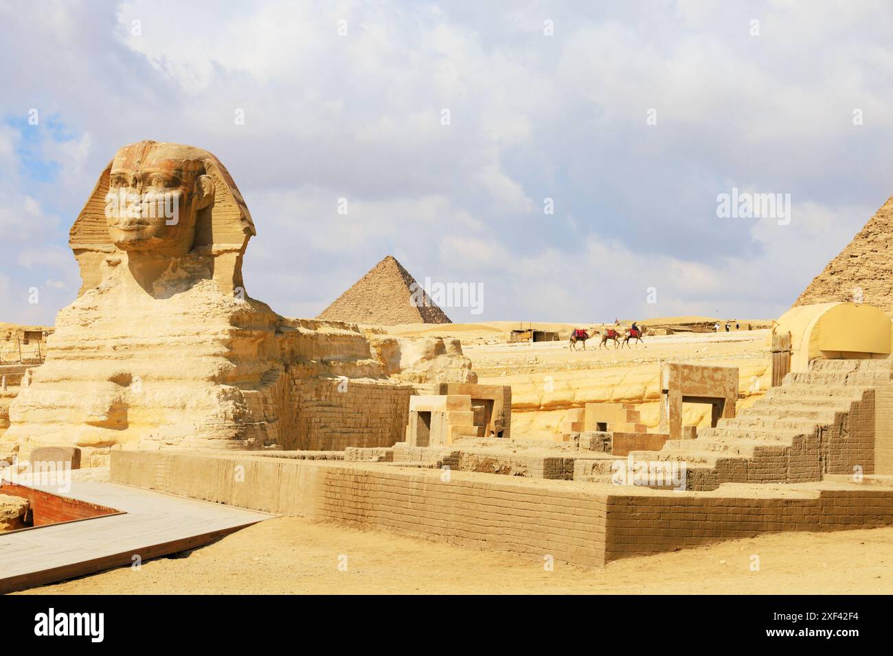 The Great Sphinx of Giza with pyramids and camels. Giza, Cairo, Egypt ...