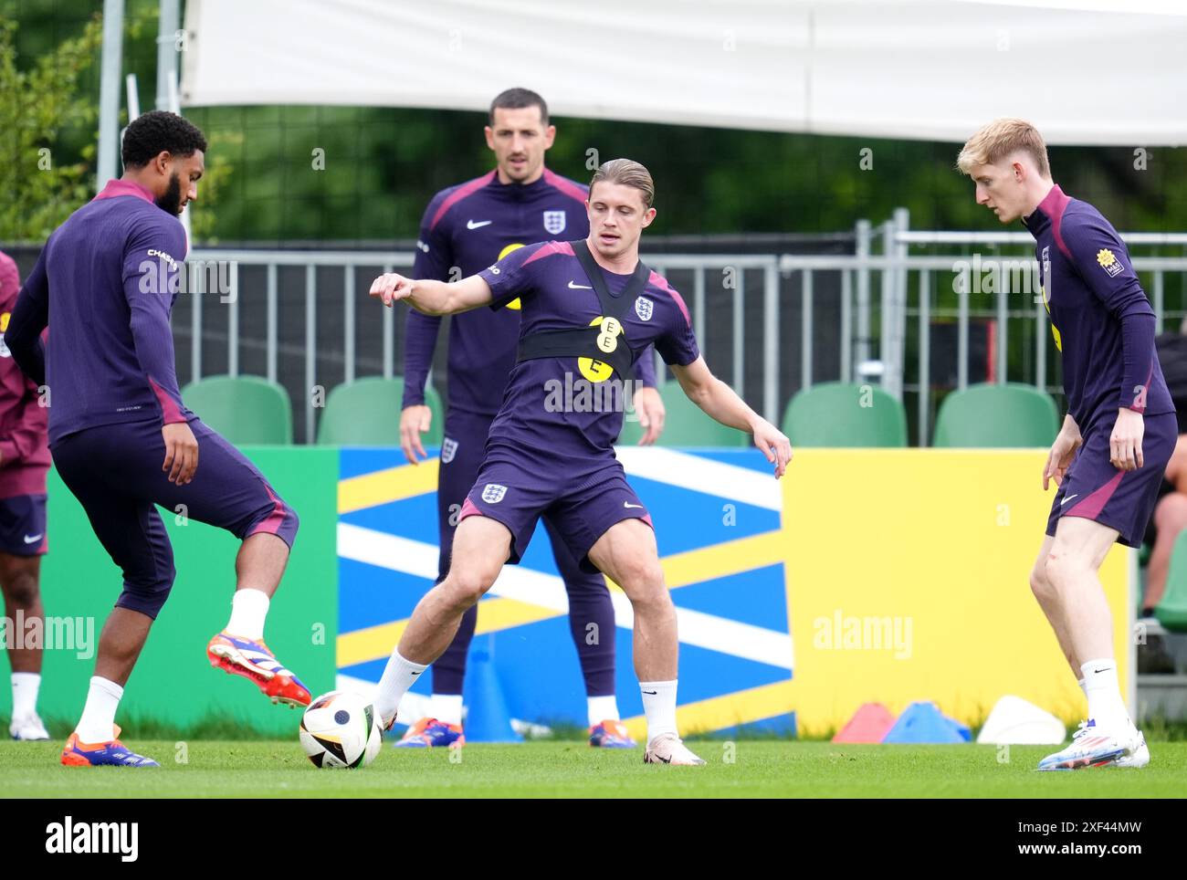 Conor gallagher anthony gordon hi-res stock photography and images - Alamy