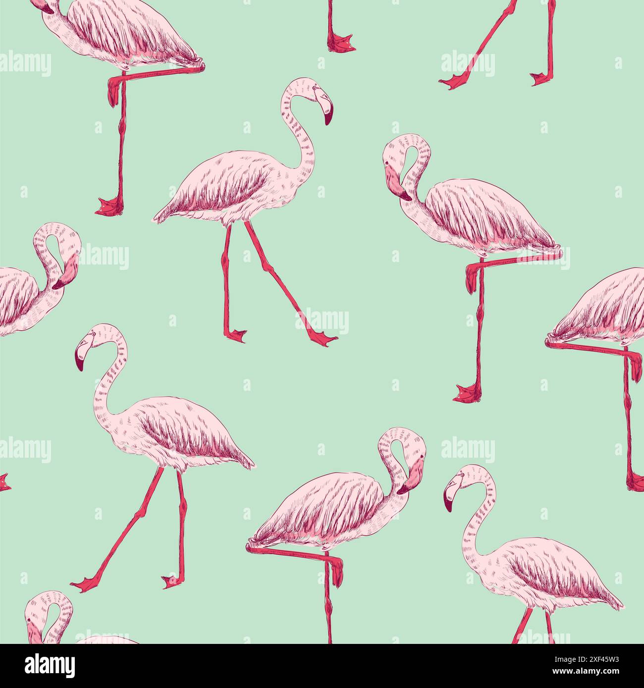 Pink flamingo line drawing hi-res stock photography and images - Alamy