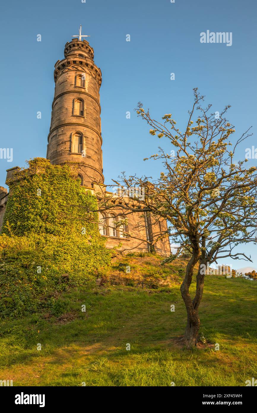 geography / travel, Great Britain, Scotland, Nelson Monument on Carlton ...