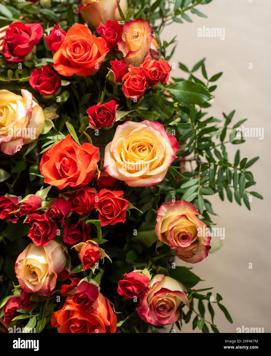 Big bouquet multicolored roses hi-res stock photography and images - Alamy