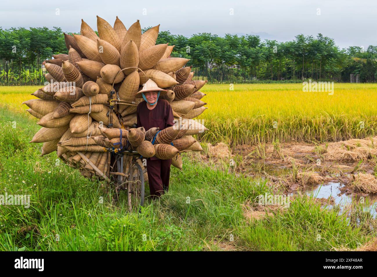 Bamboo fish trap maker at Thu Sy village, near Hanoi, North Vietnam ...