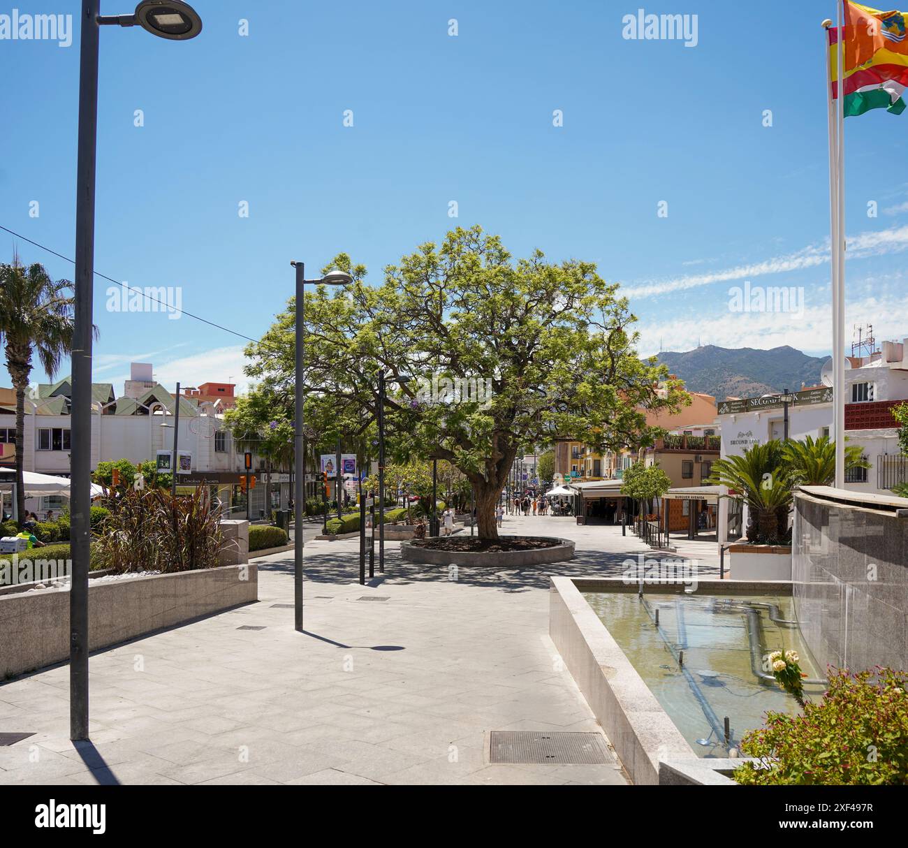 Street view Arroyo de la Miel, Jacaranda tree, Andalucia, Spain Stock ...