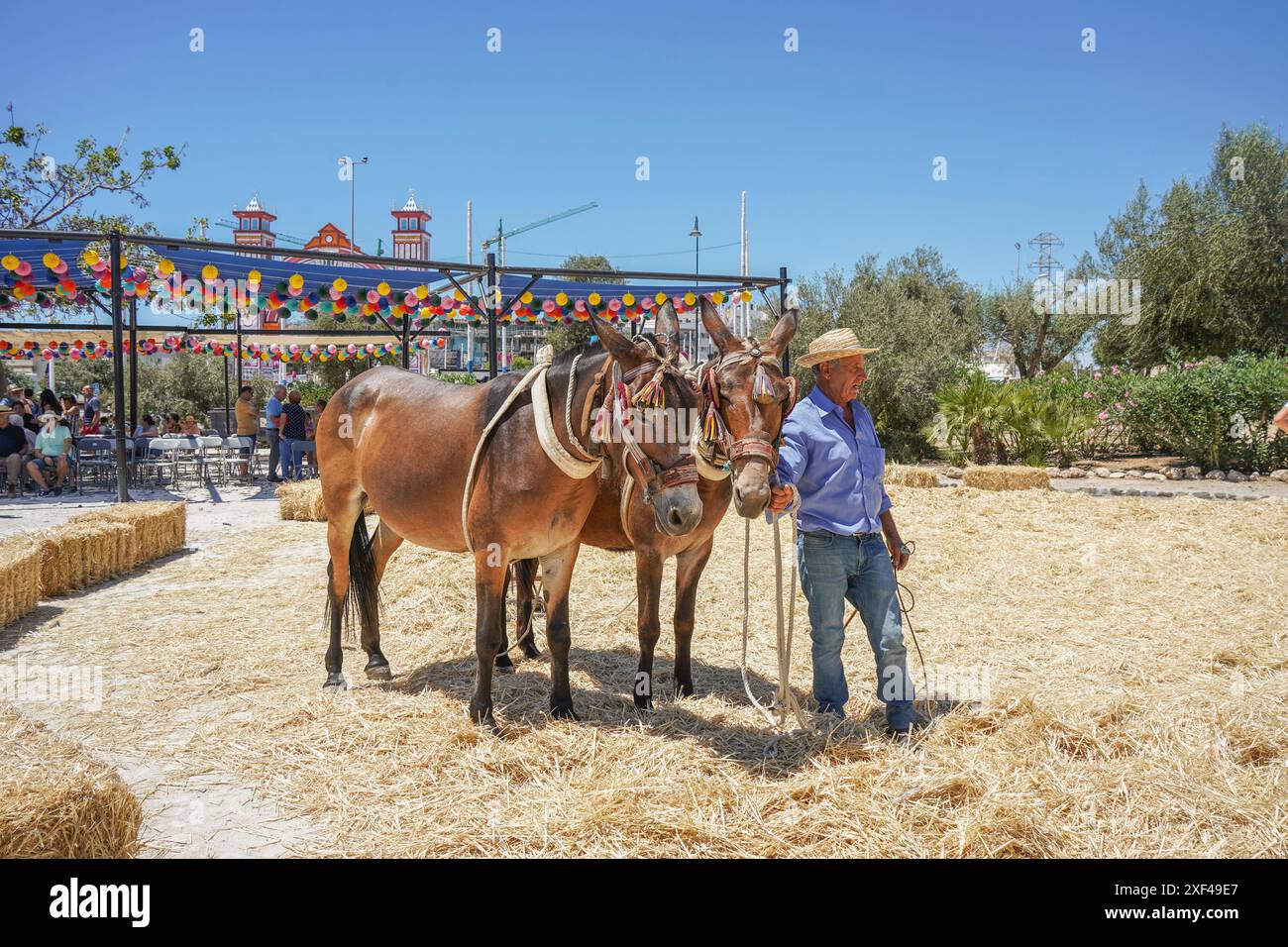 Threshing sledge hi-res stock photography and images - Alamy