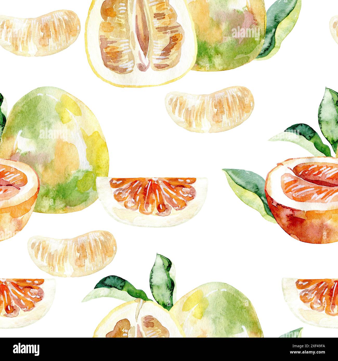 Seamless pattern. Hand Drawn Watercolor pomelo Fruit illustration Stock ...